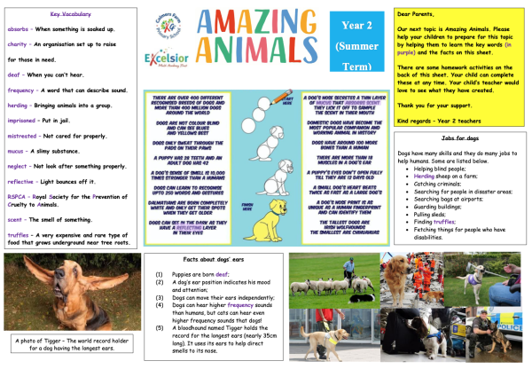 Curriculum - Colmers Farm