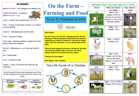 Curriculum - Colmers Farm